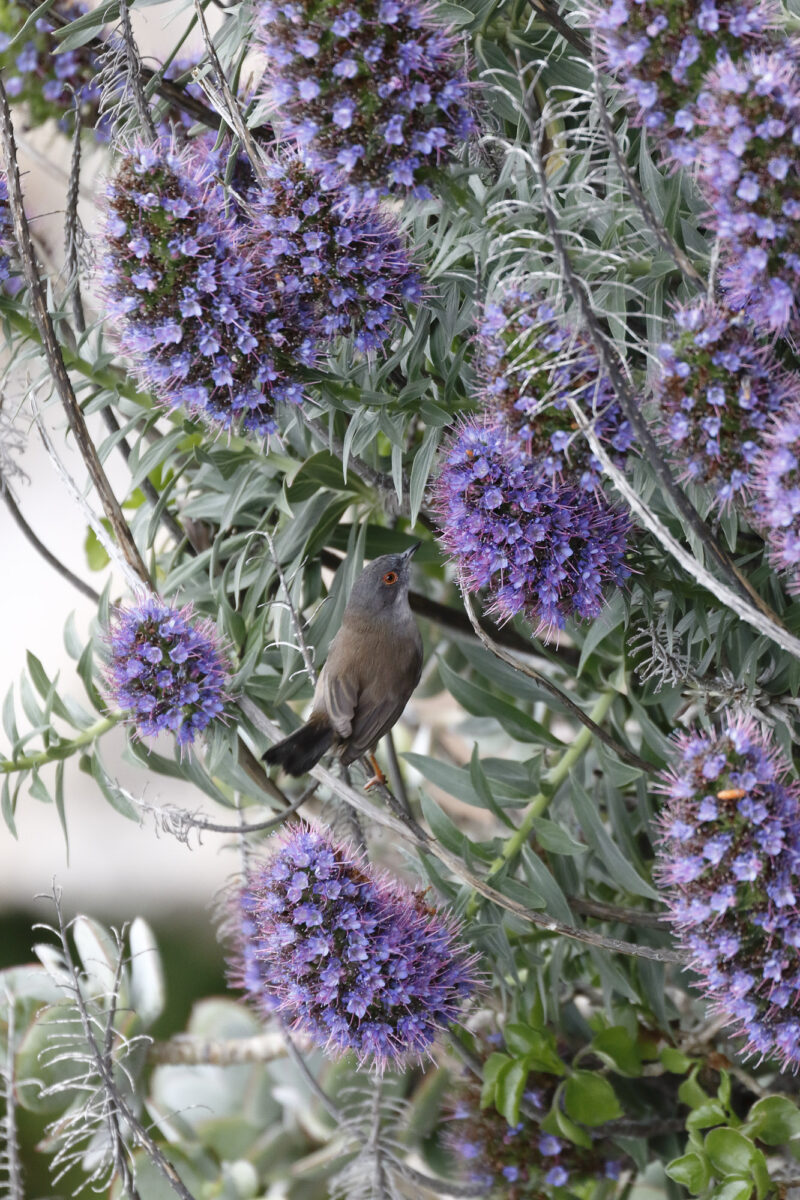Ajout de nouvelles Images - Christophe Blanchy Photographies